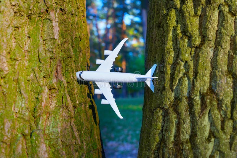 Plane Stuck Tree Stock Photos - Free & Royalty-Free Stock Photos from ...