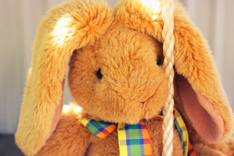 Toy Rabbit on a Tree. Soft Toy Close Up Stock Photo - Image of hare ...