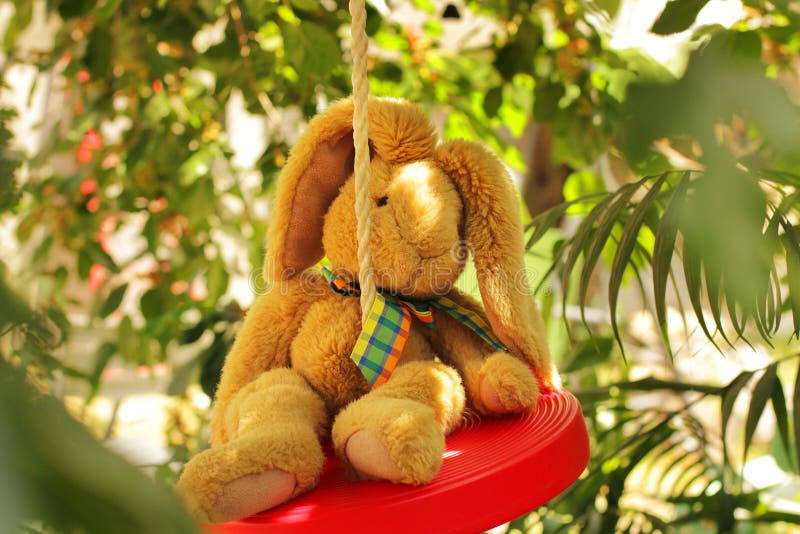 Toy Rabbit on a Tree. Soft Toy Close Up Stock Photo - Image of green ...