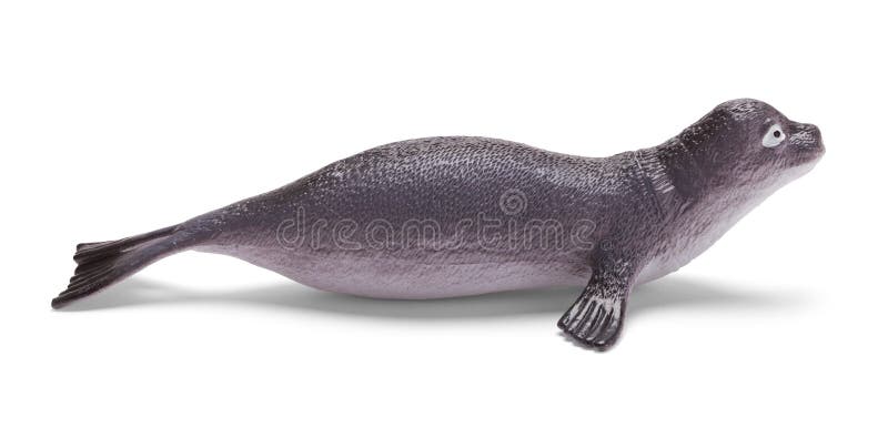 A Seal - model... stock image. Image of beach, grass - 29896583