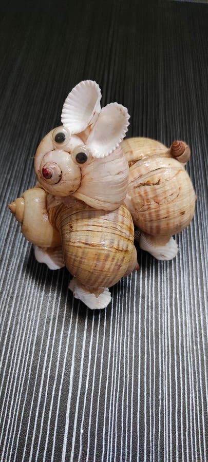 Dog-shaped toy from shells stock photo. Image of marine - 287905784
