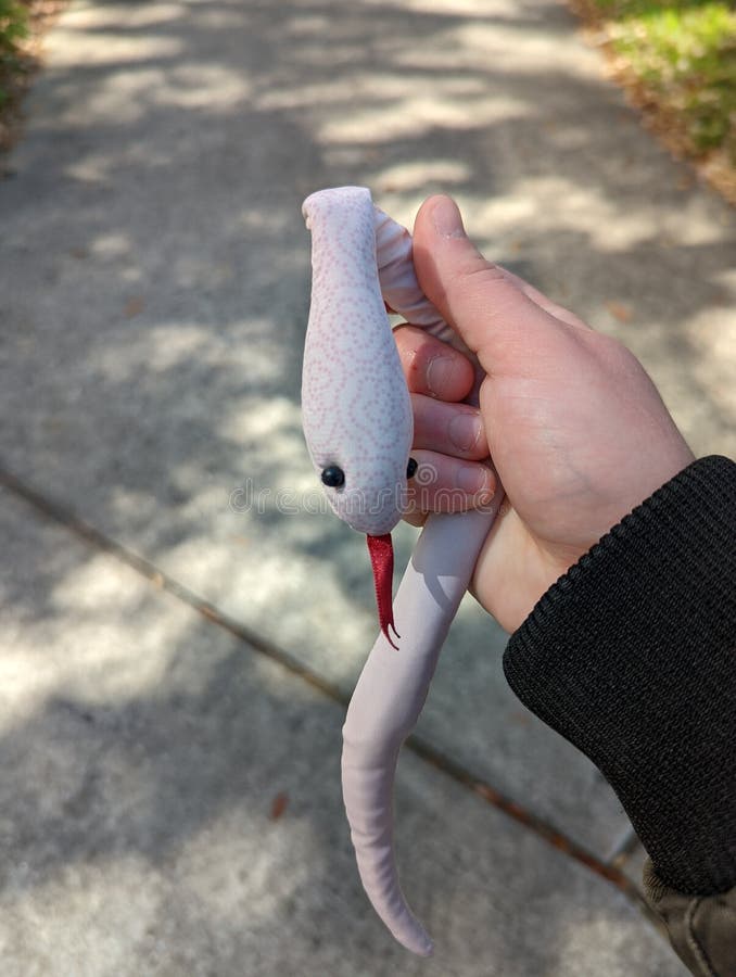 1,322 Toy Snake Stock Photos - Free & Royalty-Free Stock Photos from ...