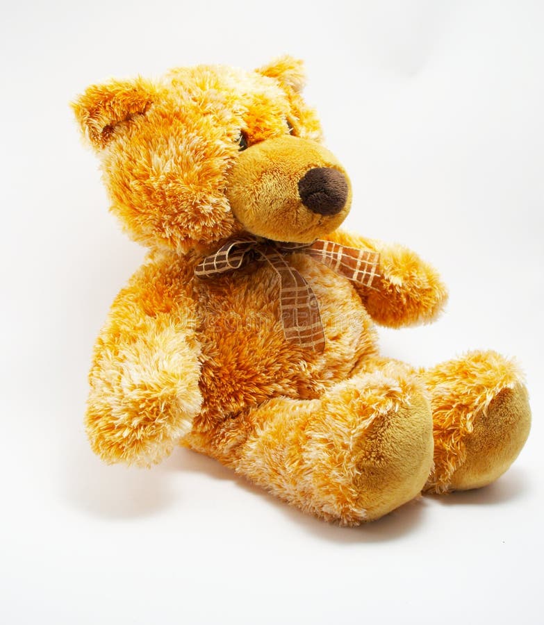 A Toy - A Soft Bear Picture. Image: 2630676
