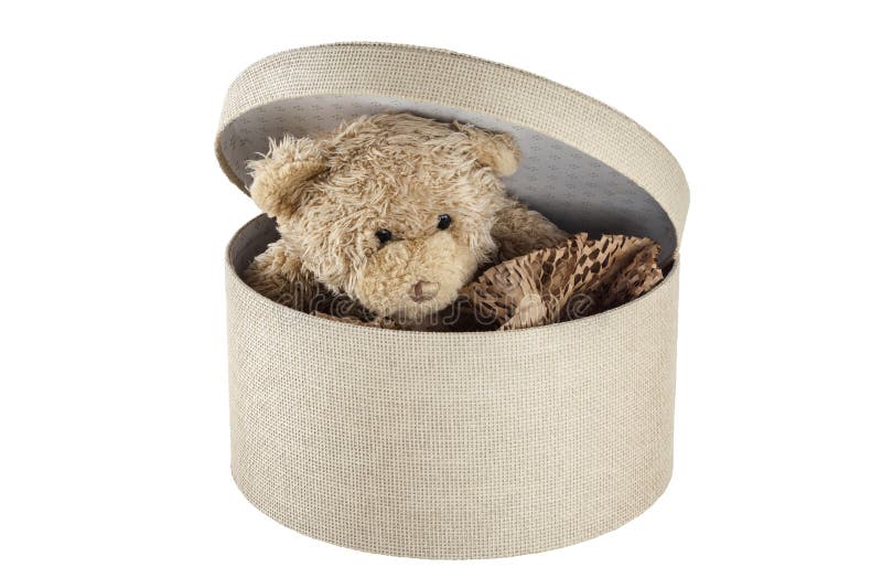 Teddy Bear in Box Isolated White Background Stock Image - Image of ...