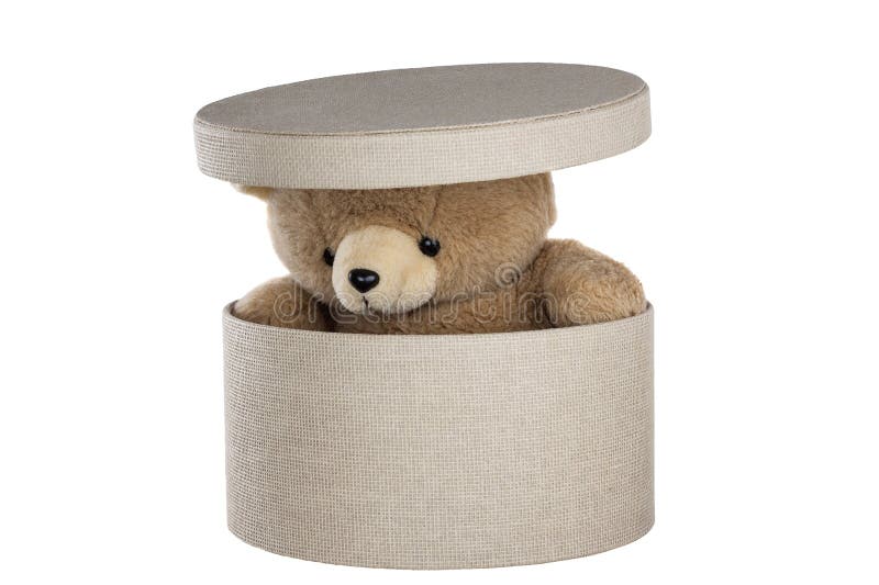 Teddy Bear Inside Gift Box Stock Photos - Free & Royalty-Free Stock ...