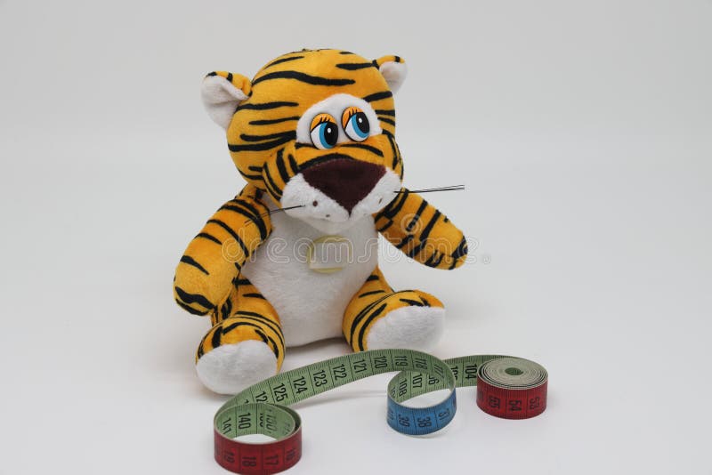 A Toy Tiger with a Tailors Measuring Tape Controls Its Weight. Stock ...