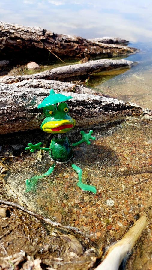 Toy toad sits in the water stock image. Image of plant - 318365399