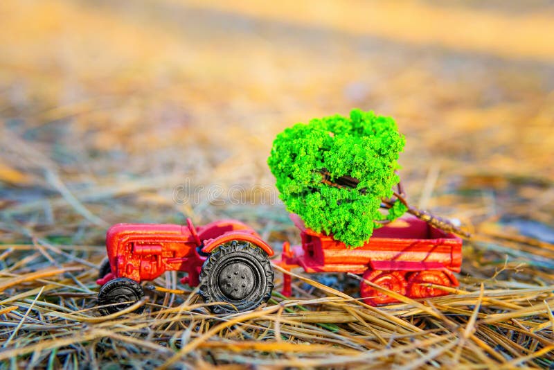 Toy Tractor with Miniature Felled Tree in Its Bed in the Forest Stock ...
