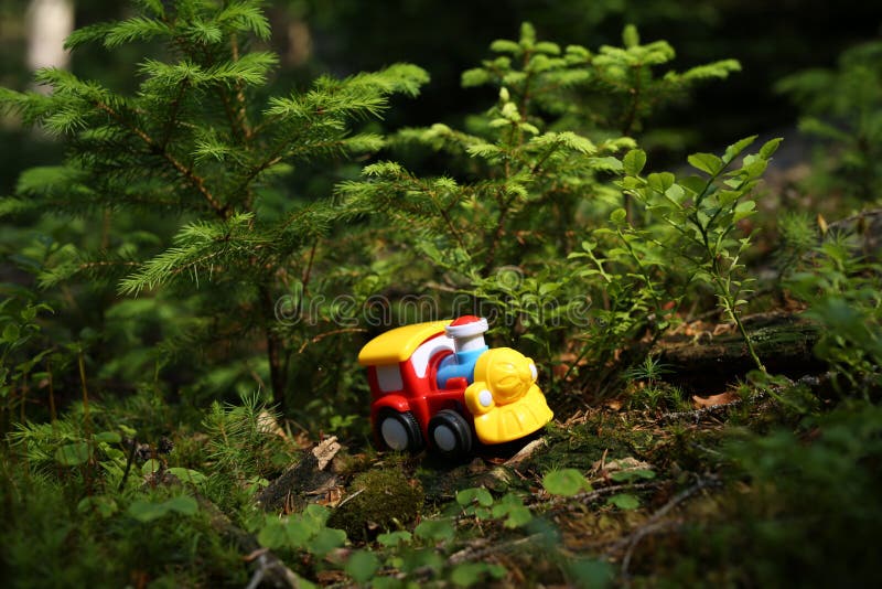 Toy Train among Young Trees in the Forest Stock Photo - Image of ...
