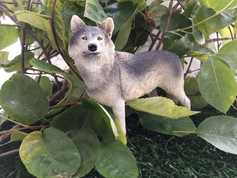 Toy Wolf Figure in a Forest Setting with Trees Stock Image - Image of ...