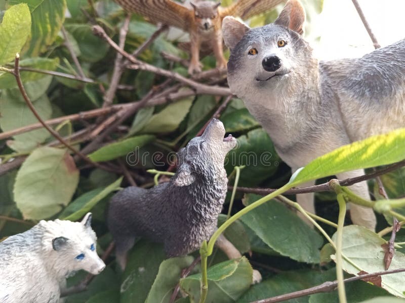 Toy Wolf Figures and Owl Figure in a Forest Setting with Trees Stock ...