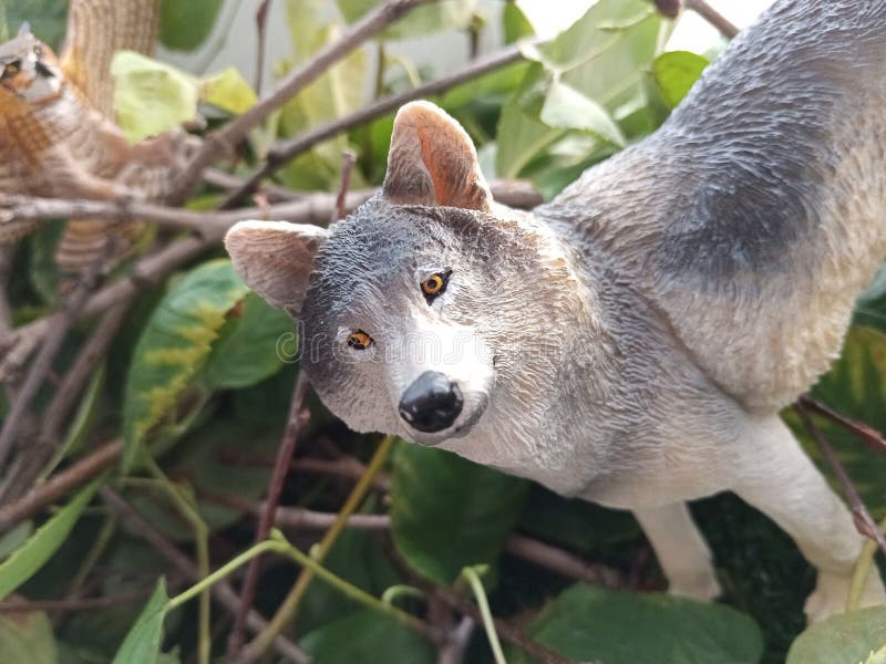 Toy Wolf and Owl Figure in a Forest Setting with Trees Stock Photo ...
