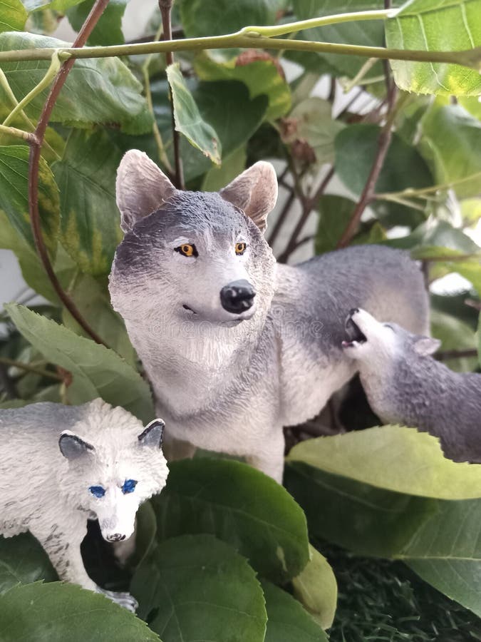 115 Wolf Figures Stock Photos - Free & Royalty-Free Stock Photos from ...
