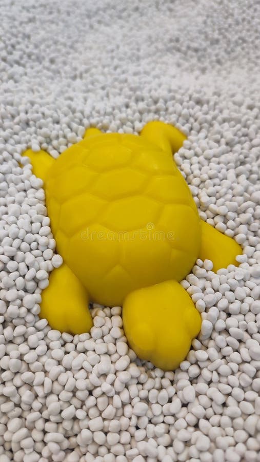 Yellow Turtle stock photo. Image of animal, turtle, leaf - 296170506