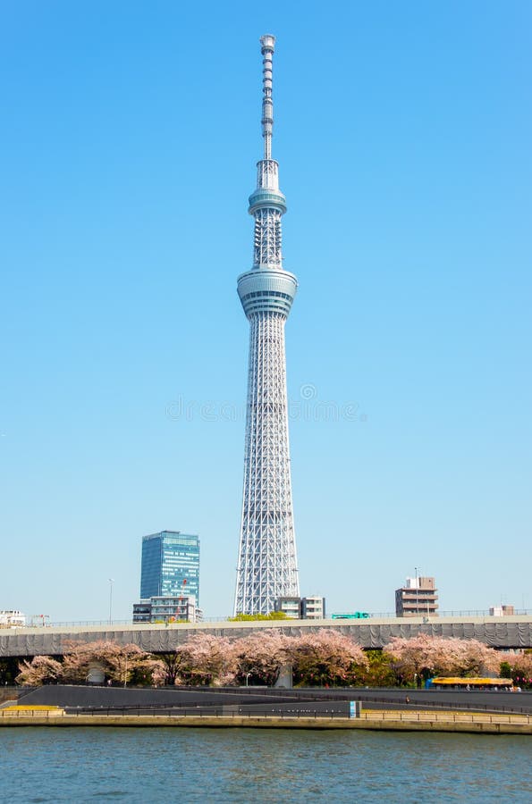 Tokyo Sky Tree, Japan stock photo. Image of communication - 22845204
