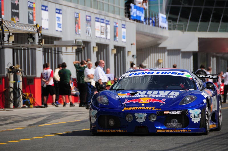 Robert Adrian Hillman Stock Photos - Free & Royalty-Free Stock Photos ...