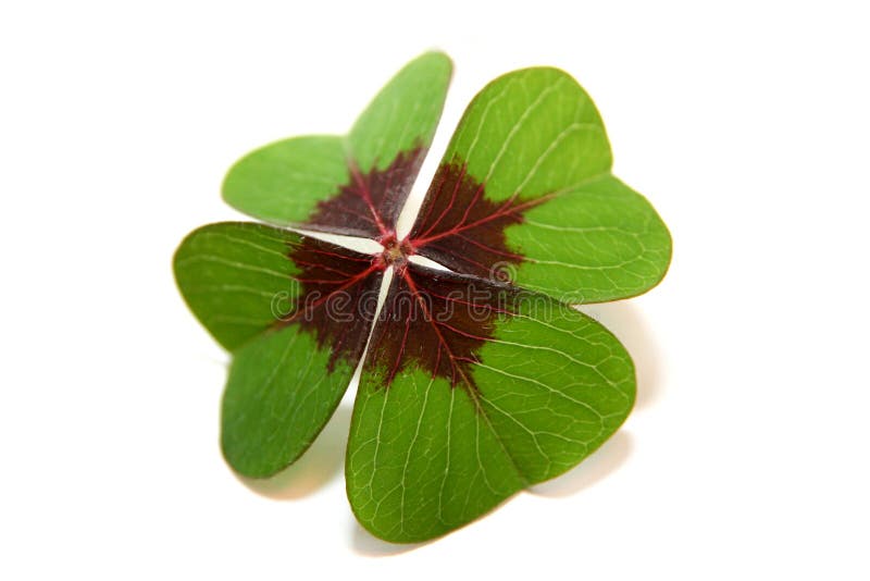 Feuille De Trèfle Chanceuse Dans Le Monde Image stock - Image du monde ...