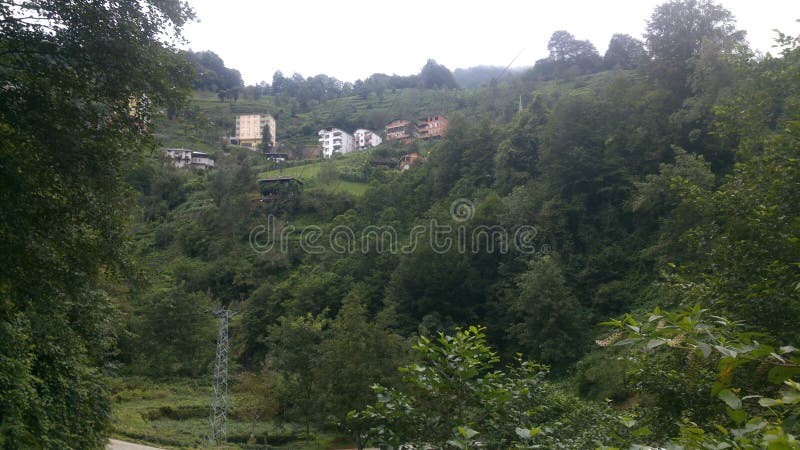 Trabzon stock photo. Image of tree, trabzon, landscape - 172863948