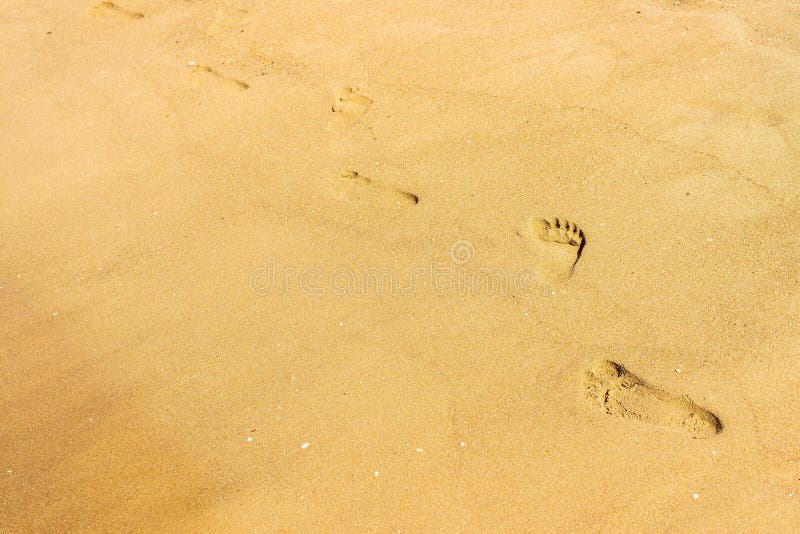 Tracce Di Gambe Umane Sulla Sabbia Immagine Stock - Immagine di ...