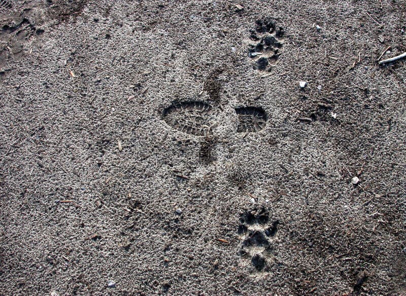 Free Nature pictures, photos & images - Royalty-Free and Public Domain ...