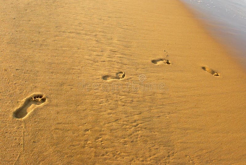 Trace on the beach stock image. Image of loneliness, pulse - 5045561