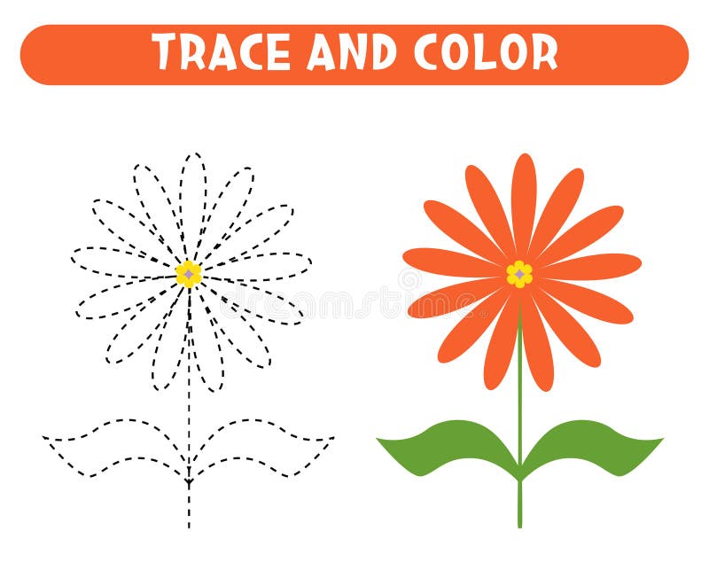 Trace and Color Orange Flower. Worksheet for Kids Stock Vector ...