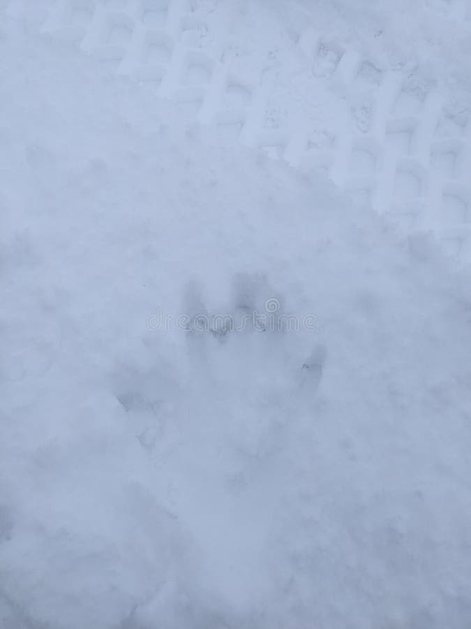 Trace of Human Hand& X27;s Stock Image - Image of frost, wall: 271115731