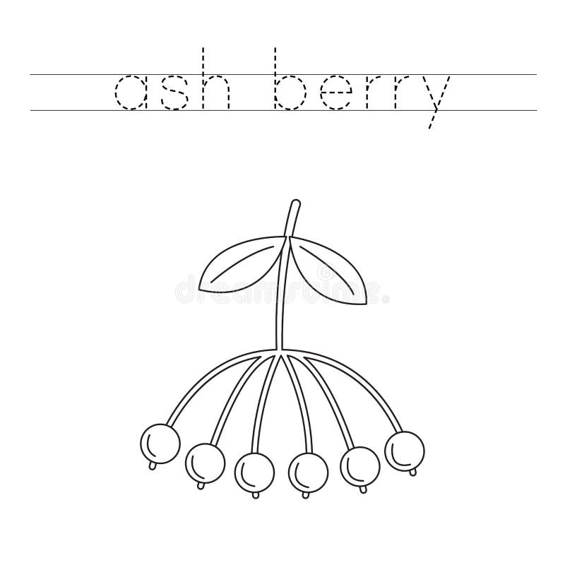 Trace the Letters and Color Ash Berry. Handwriting Practice for Kids ...