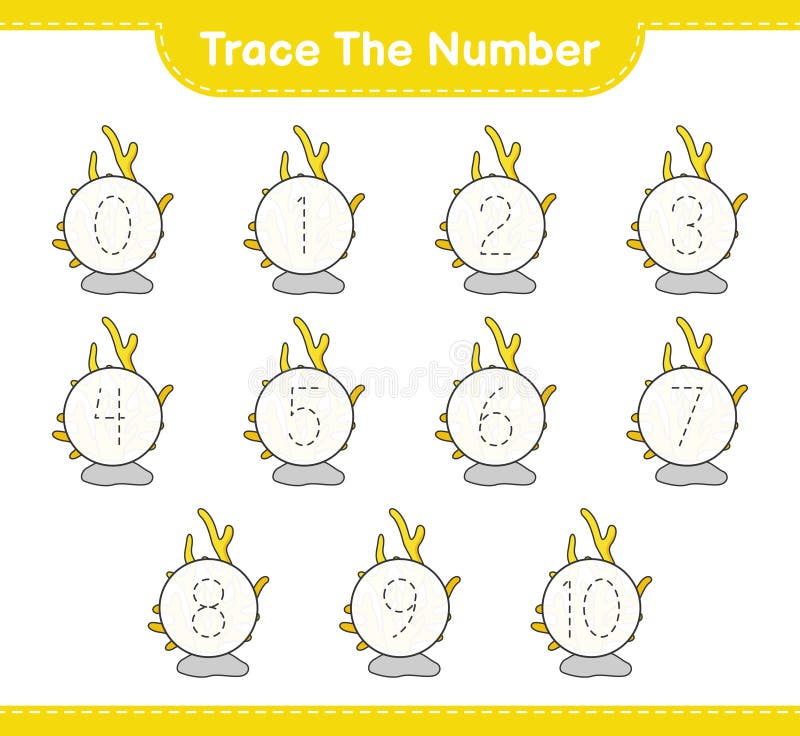 Coral Tracing Stock Illustrations – 262 Coral Tracing Stock ...