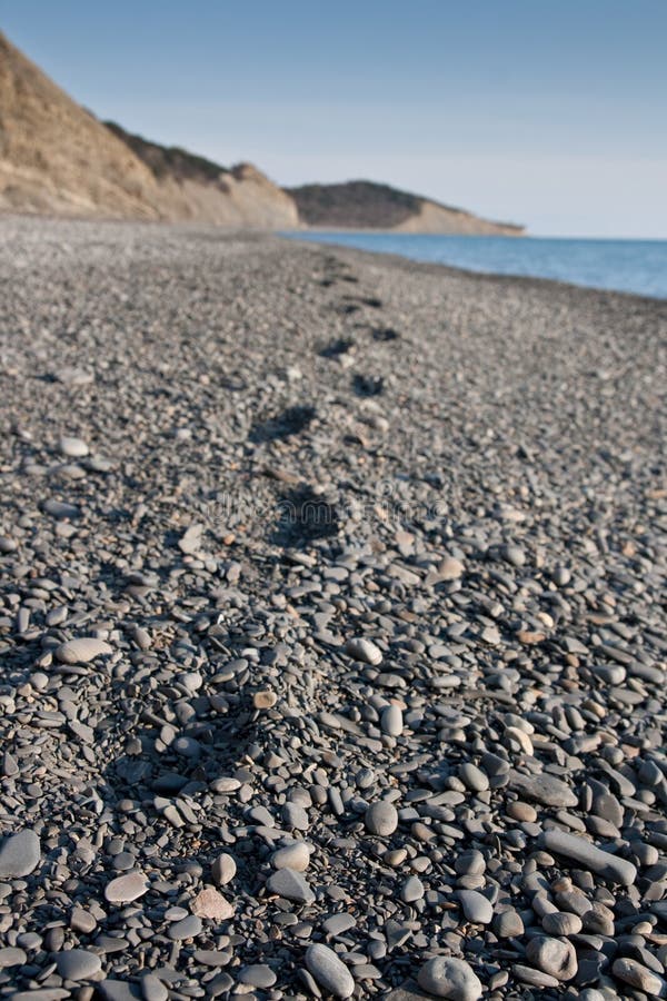 Trace on the pebble beach stock image. Image of print - 8935463