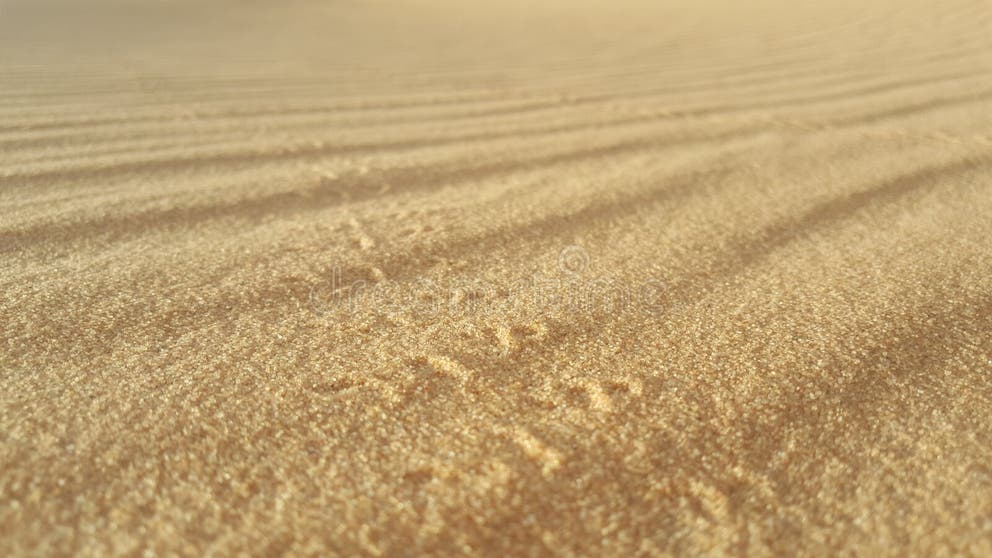 Trace of Scorpio in Last Night Stock Photo - Image of crop, africa ...