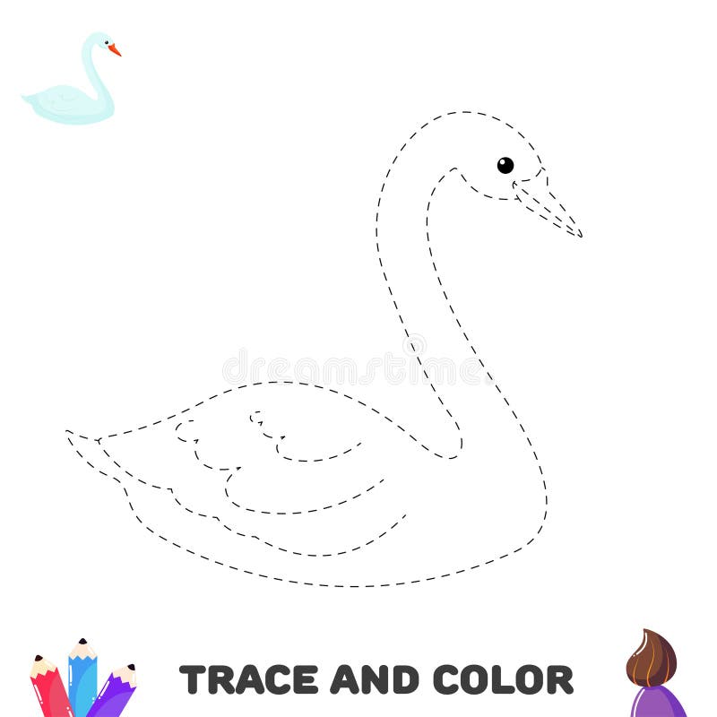 Trace Swan. Coloring Educational Page for Kids Stock Vector ...