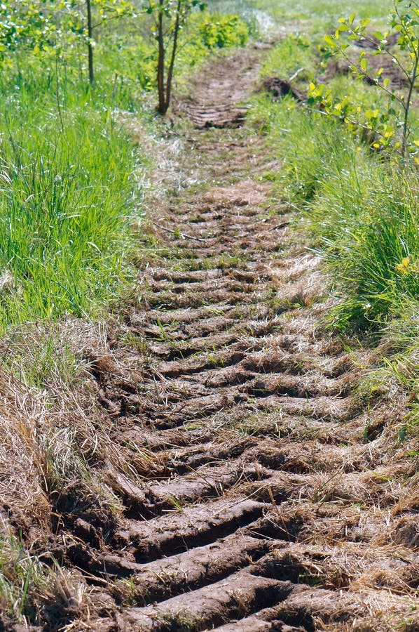 Trace of the Track from a Tractor in the Wheat and Sunflower Field ...