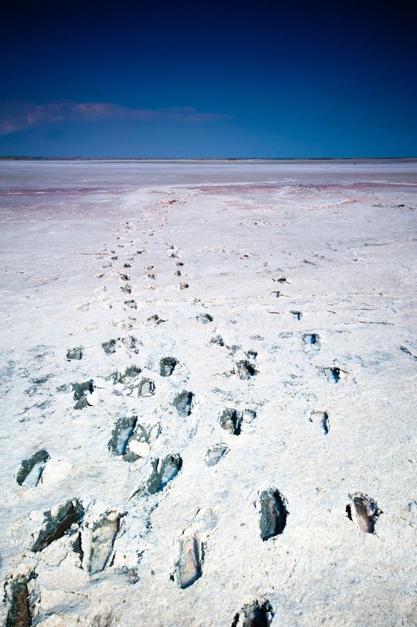Traces stock image. Image of journey, plain, tracks, people - 21373473