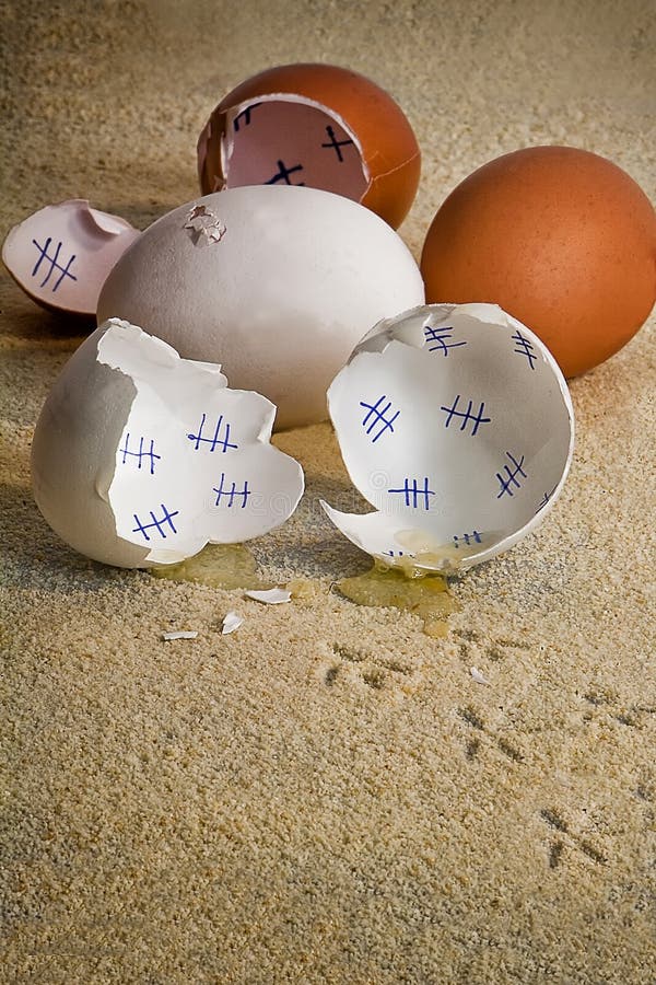 Traces of Bird, a Chick Has Just Come Out of Its Shell Stock Photo ...