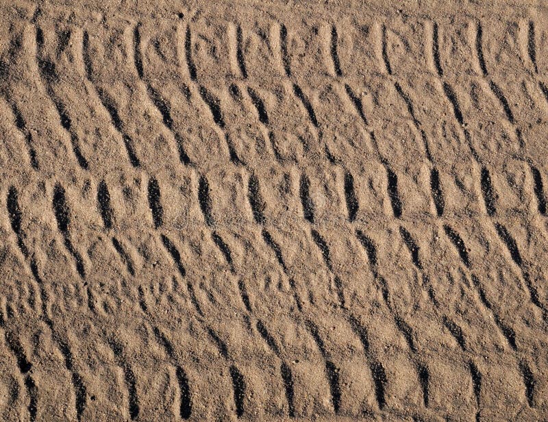 Traces of cars stock image. Image of road, grass, dirt - 47604665