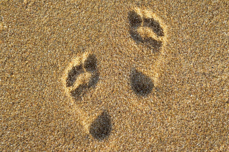 Empreintes Pieds Nus Sur La Plage. Empreintes Dans Le Sable. Plage ...