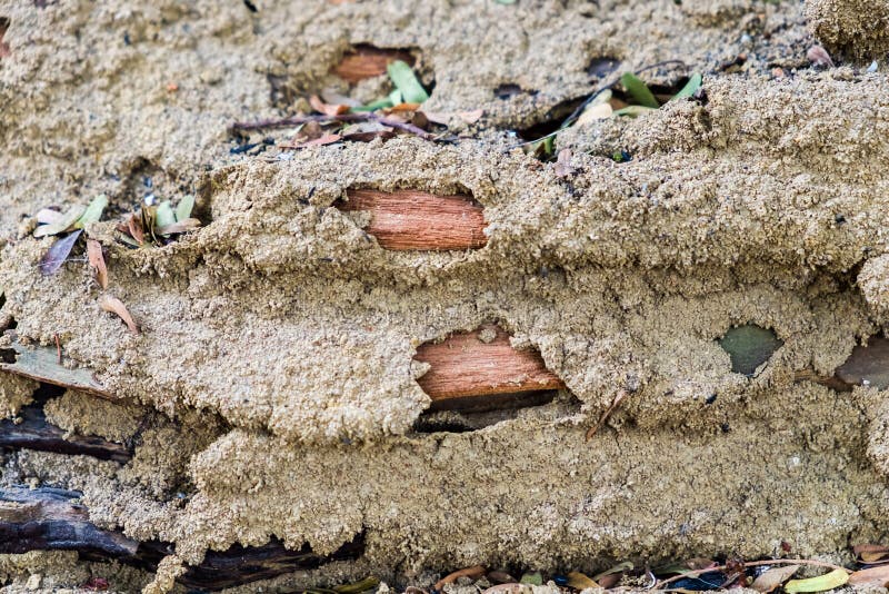 Traces Destruction Soil and Sand Stock Photo - Image of natural ...
