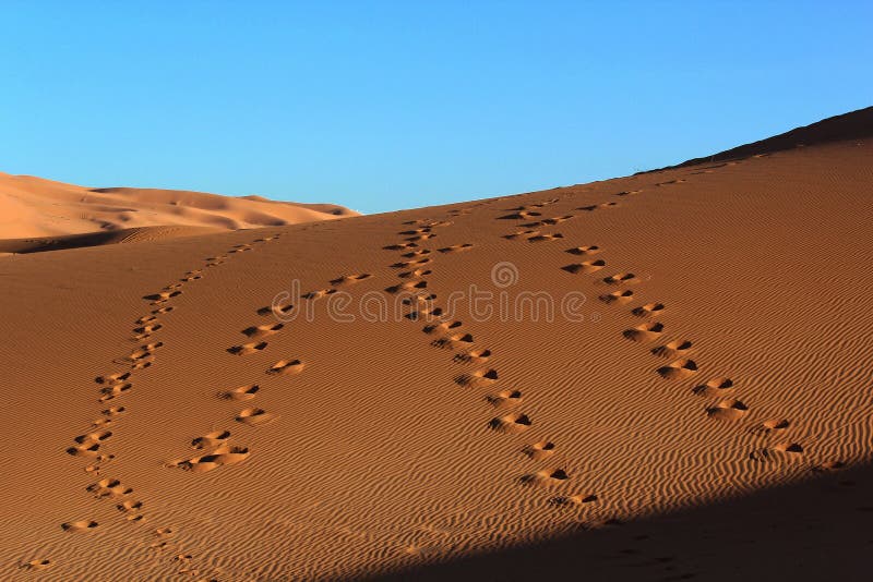 Accross sahara desert stock image. Image of isolation - 9436233