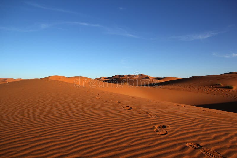 Accross sahara desert stock image. Image of isolation - 9436233