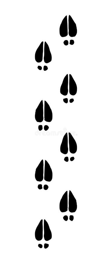 Impala Footprint Stock Illustrations – 62 Impala Footprint Stock ...