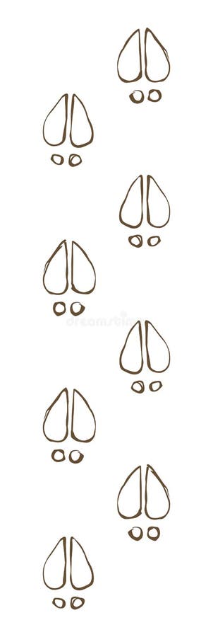 Impala Footprint Stock Illustrations – 62 Impala Footprint Stock ...