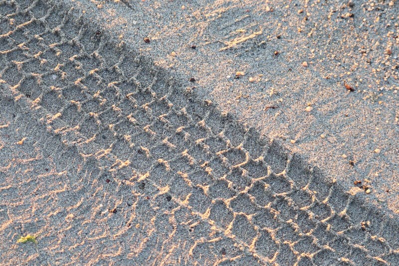Traces and Imprints of a Car Tire on the Sand Stock Image - Image of ...
