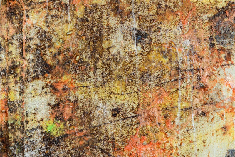 Traces of Shots and Projectiles on the Bark of a Tree Stock Photo ...