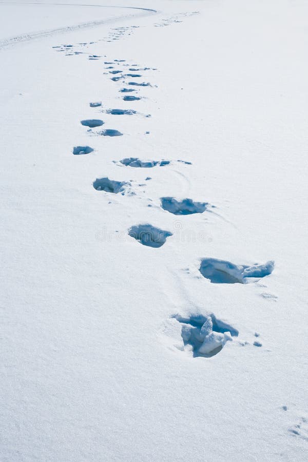 Traces on snow stock image. Image of cold, snow, step - 23167057