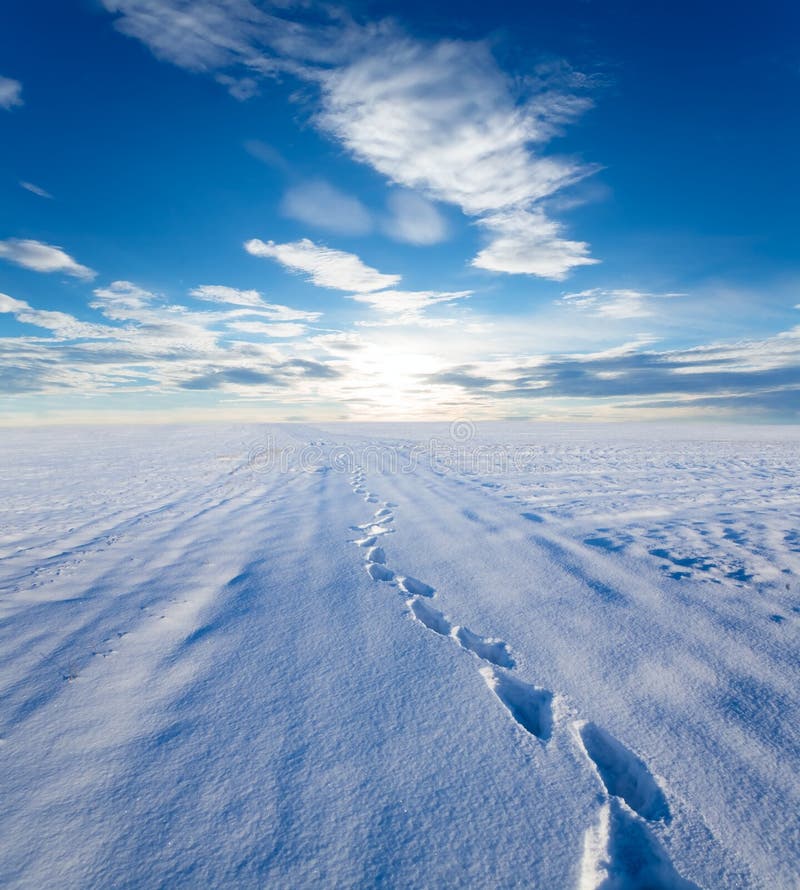 Traces on a snow stock image. Image of hope, glitter, outside - 7924241
