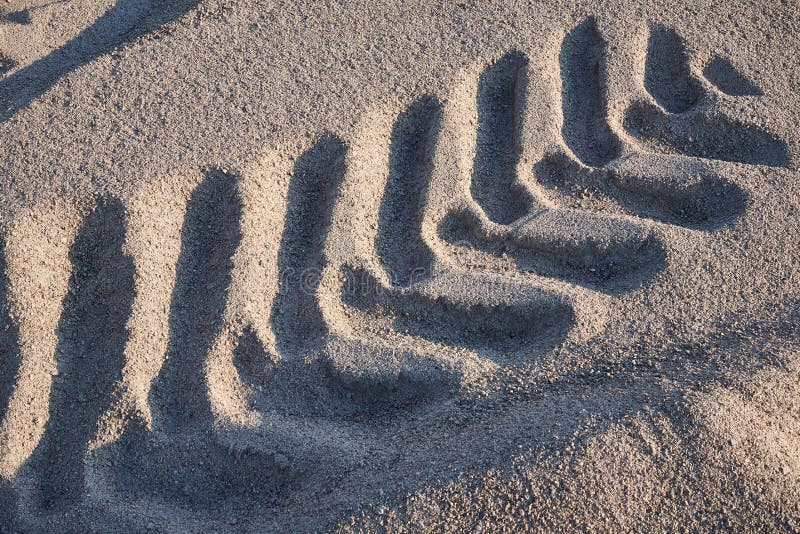Tire Treads 1 stock photo. Image of closeup, pattern, tread - 2030096