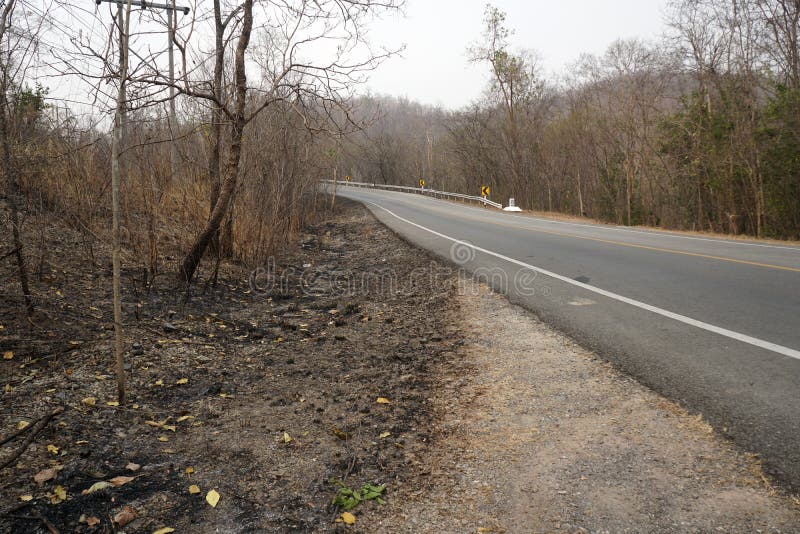 Traces of Trees Burnt by the Roadside. Forest Fire Problems that Occur ...