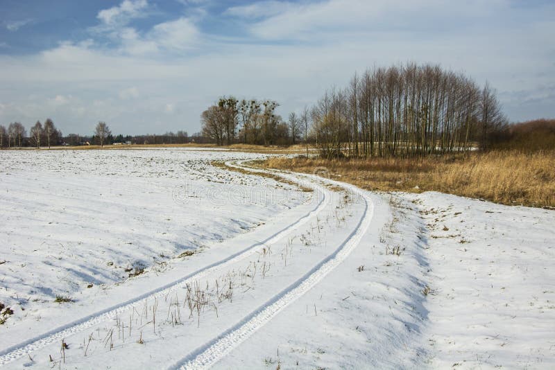 Traces of Wheels in the Snow on a Dirt Road, Trees and Sky Stock Image ...