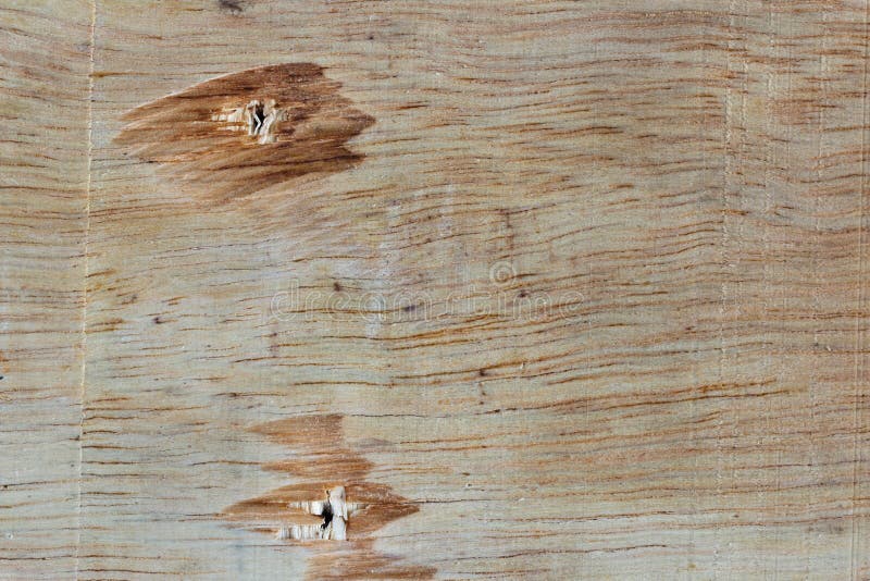 Traces on wood stock image. Image of sample, exterior - 44056955